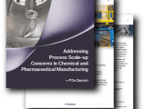 Addressing Process Scale Up Concerns White Paper